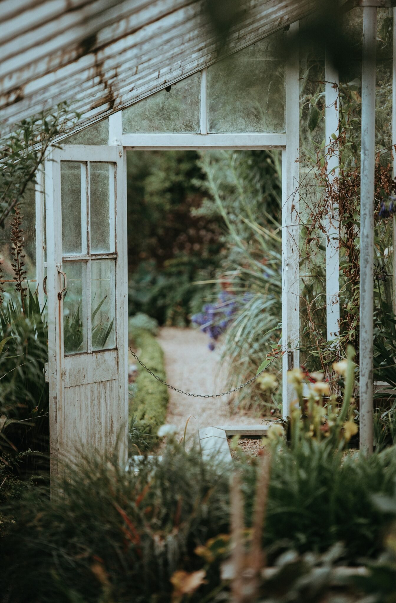 Where Is The Duggal Greenhouse Located? – Greenhouse Design Ideas